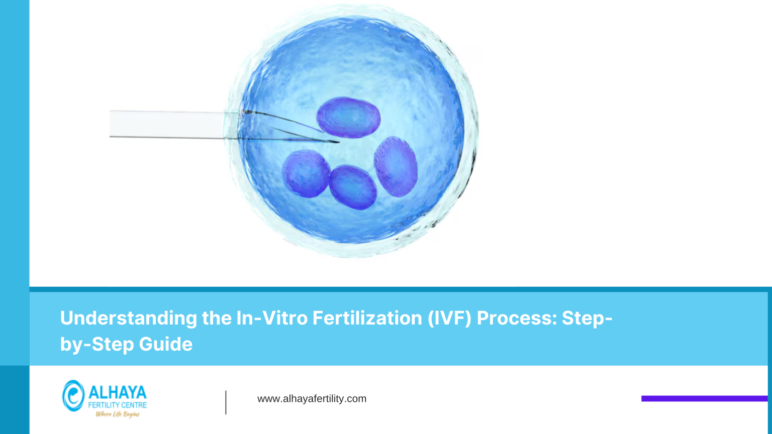 Understanding the In-Vitro Fertilization (IVF) Process: Step-by-Step Guide - Alhaya Fertility Centre